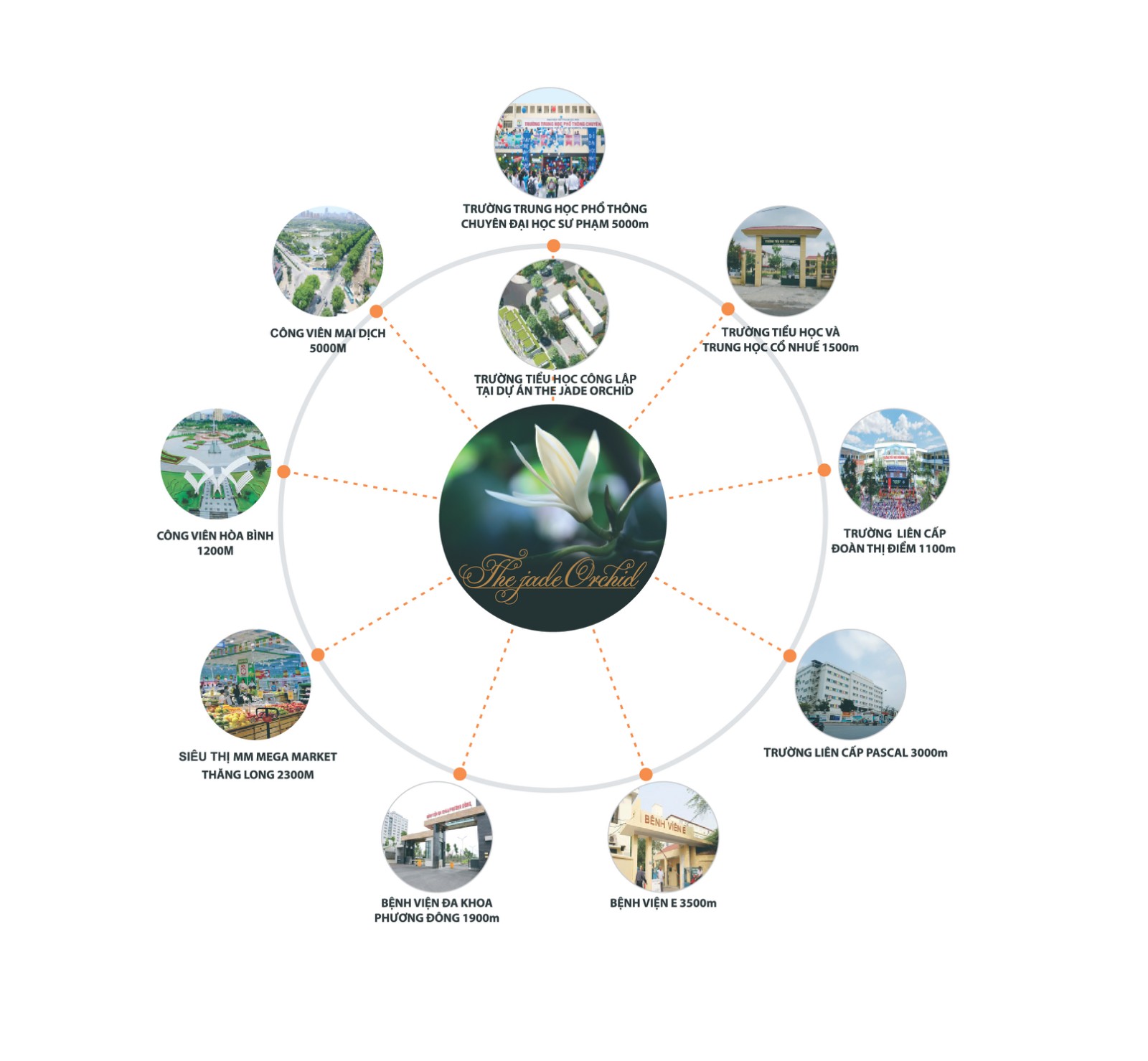 THE JADE ORCHID | Đông Tây Land Miền Bắc